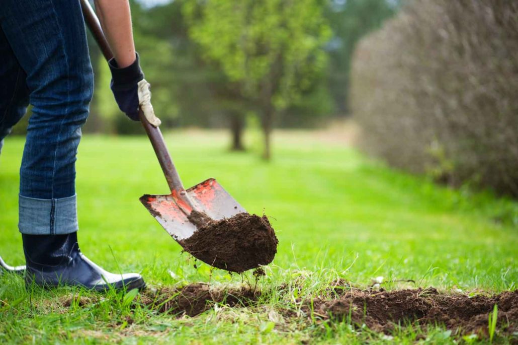 Sentricon system: the ultimate termite protection