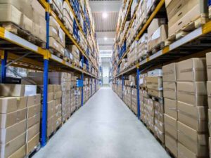 San Marcos Pest Control: Fast, Eco-Friendly Exterminators