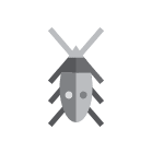 Ants - The Bug Master Pest Control