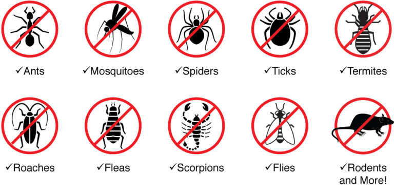 Residential Pest Control Austin TX | The Bug Master