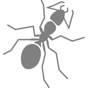 Pest Control & Exterminator Austin TX | The Bug Master