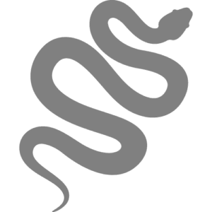 Pest Control & Exterminator Austin TX | The Bug Master