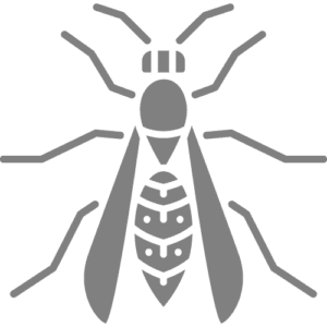 San Marcos Pest Control: Fast, Eco-Friendly Exterminators