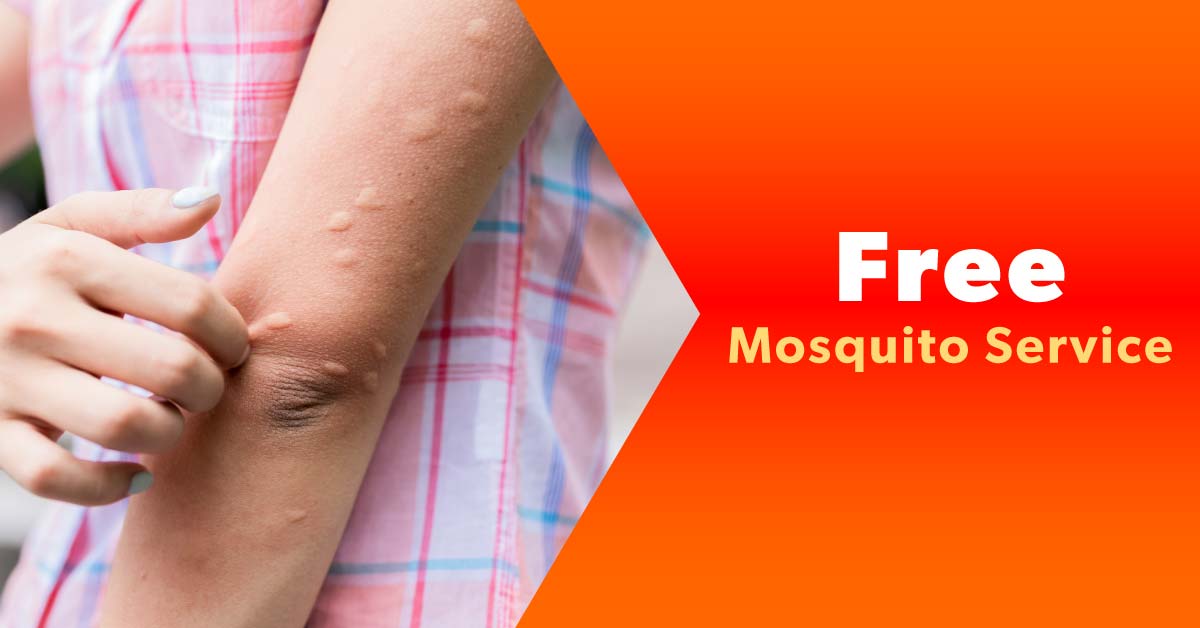 Free Mosquito Service For New Pest Control Customers | The Bug Master ...