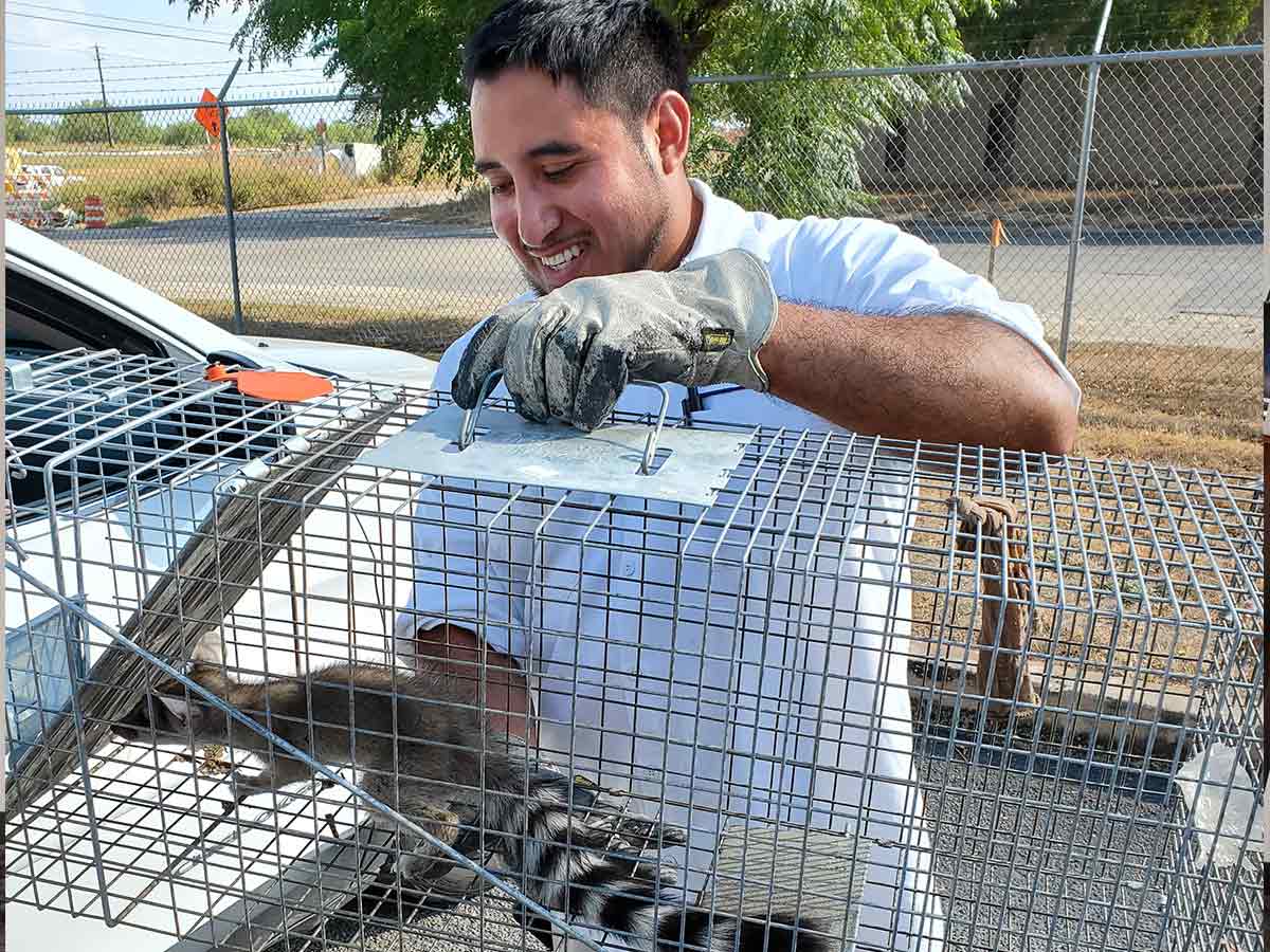 Pest Pro Techs | The Bug Master