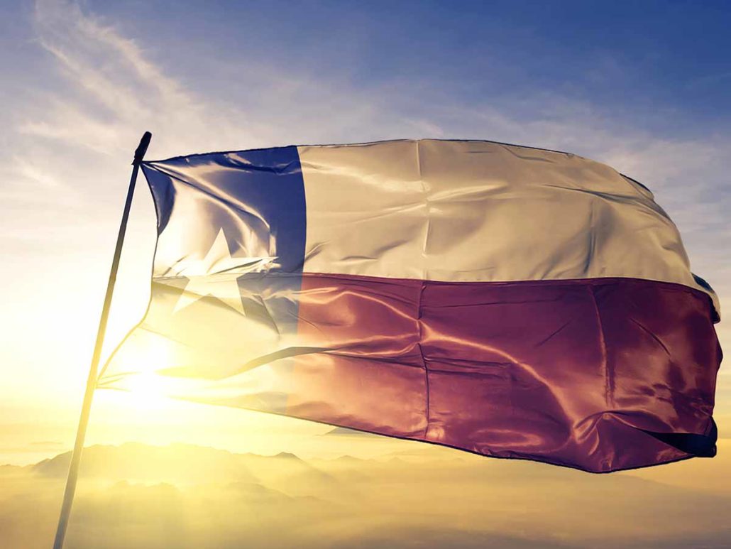 Rodent and Wildlife Control in Spring, TX - The Bug Master Pest Control