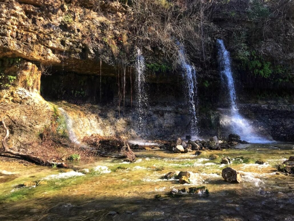 Temple Pest Control: Fast, Eco-Friendly Exterminators