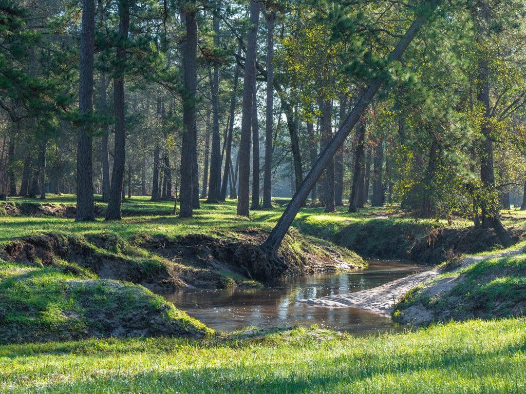 Commercial Pest Control in The Woodlands, TX - The Bug Master Pest Control