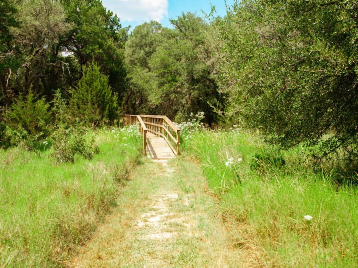 Mosquito Control in Driftwood, TX - The Bug Master Pest Control