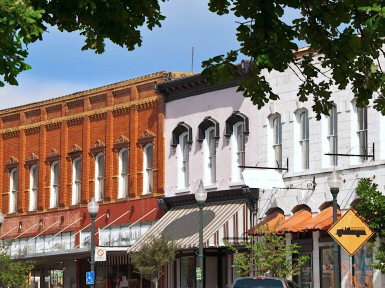 San Marcos Pest Control: Fast, Eco-Friendly Exterminators