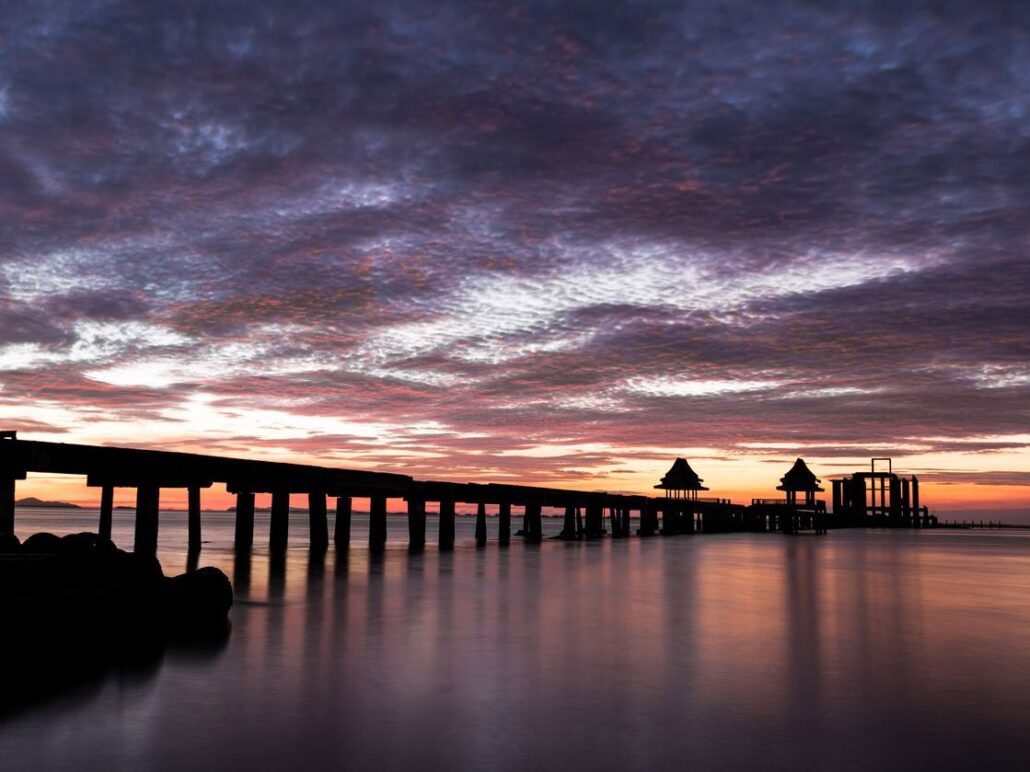 Temple Pest Control: Fast, Eco-Friendly Exterminators