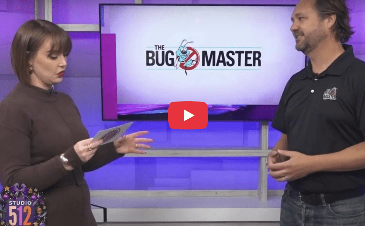 Winter Rodent Control: How to Prevent Mice and Rats From Entering Your ...